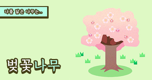 나무를 부탁해 - 방구석연구소 - 결과
